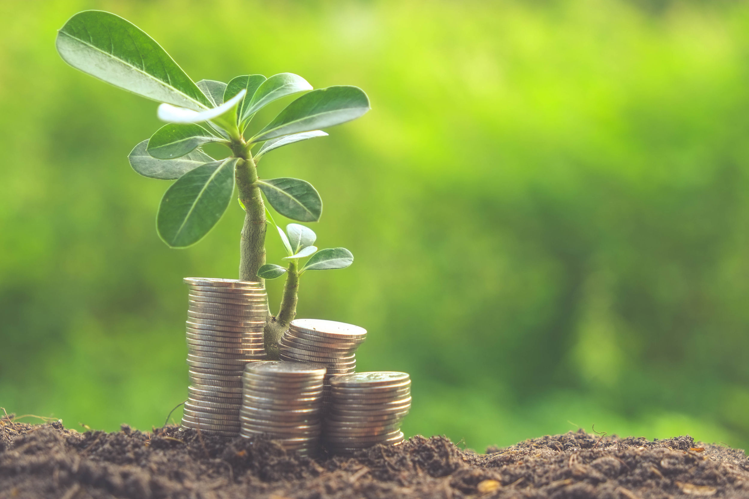 Cash Matters launched at Currency Conference – Cash Essentials